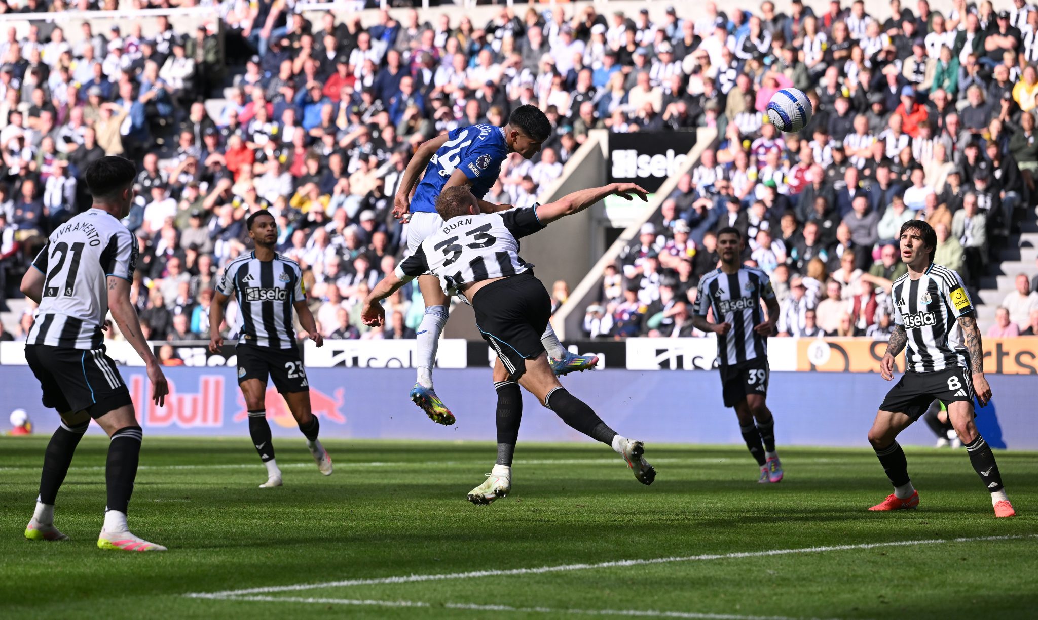 Everton beat Newcastle on the final day of the season – The NSNO ...